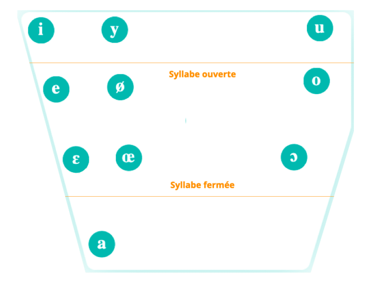 Les voyelles semi-ouvertes et semi-fermées en français - Fonetix